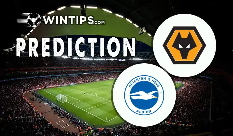 Wolves vs Brighton Hove Albion, Prediction & Betting Tips